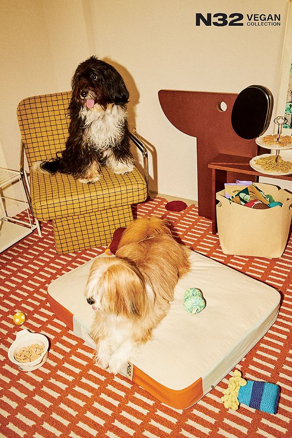 시몬스 N32, 3대 펫 안심인증 획득 펫 매트리스 ‘N32 쪼꼬미’ 출시